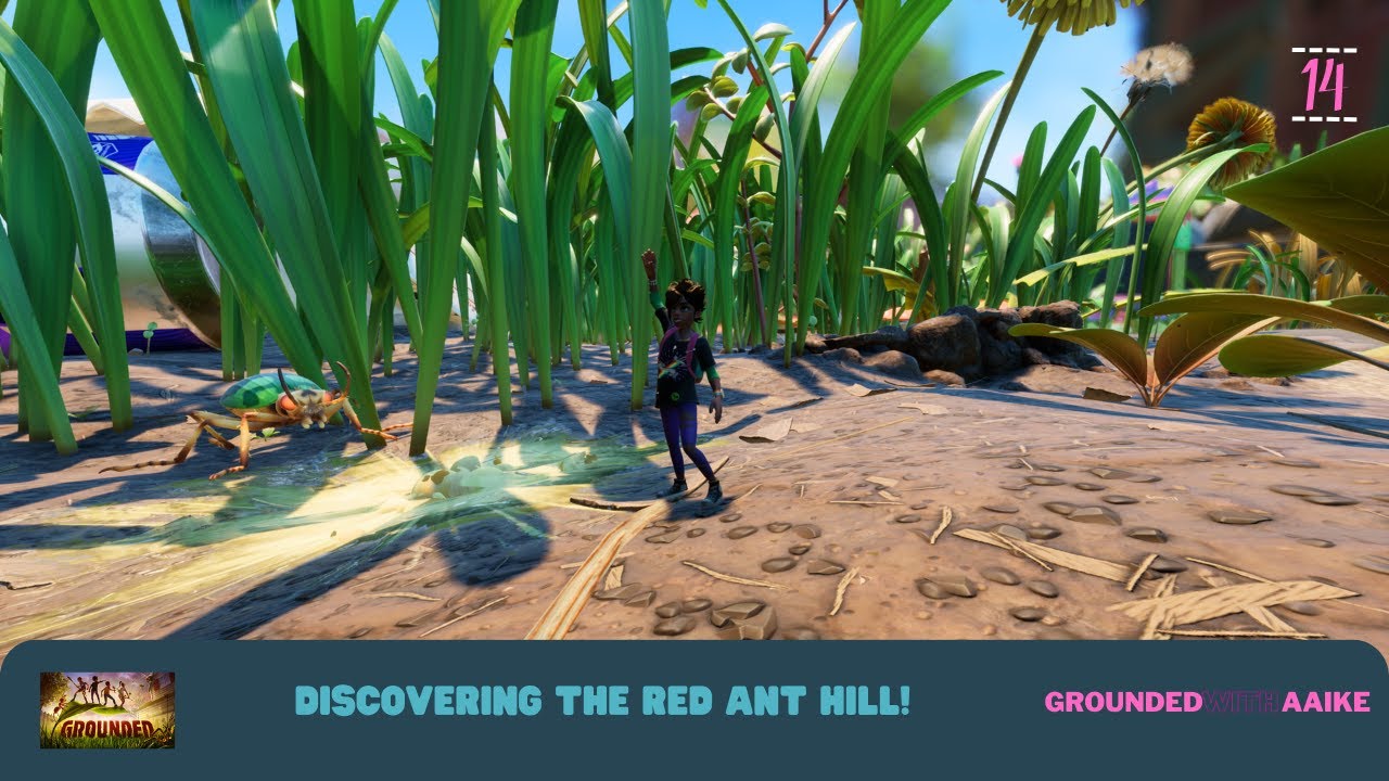 The red ant hill, episode 14, Grounded - YouTube