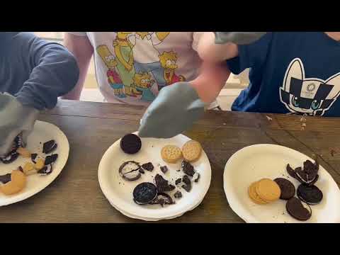 Shark puppets ultimate crème sandwich cookie thingy taste test