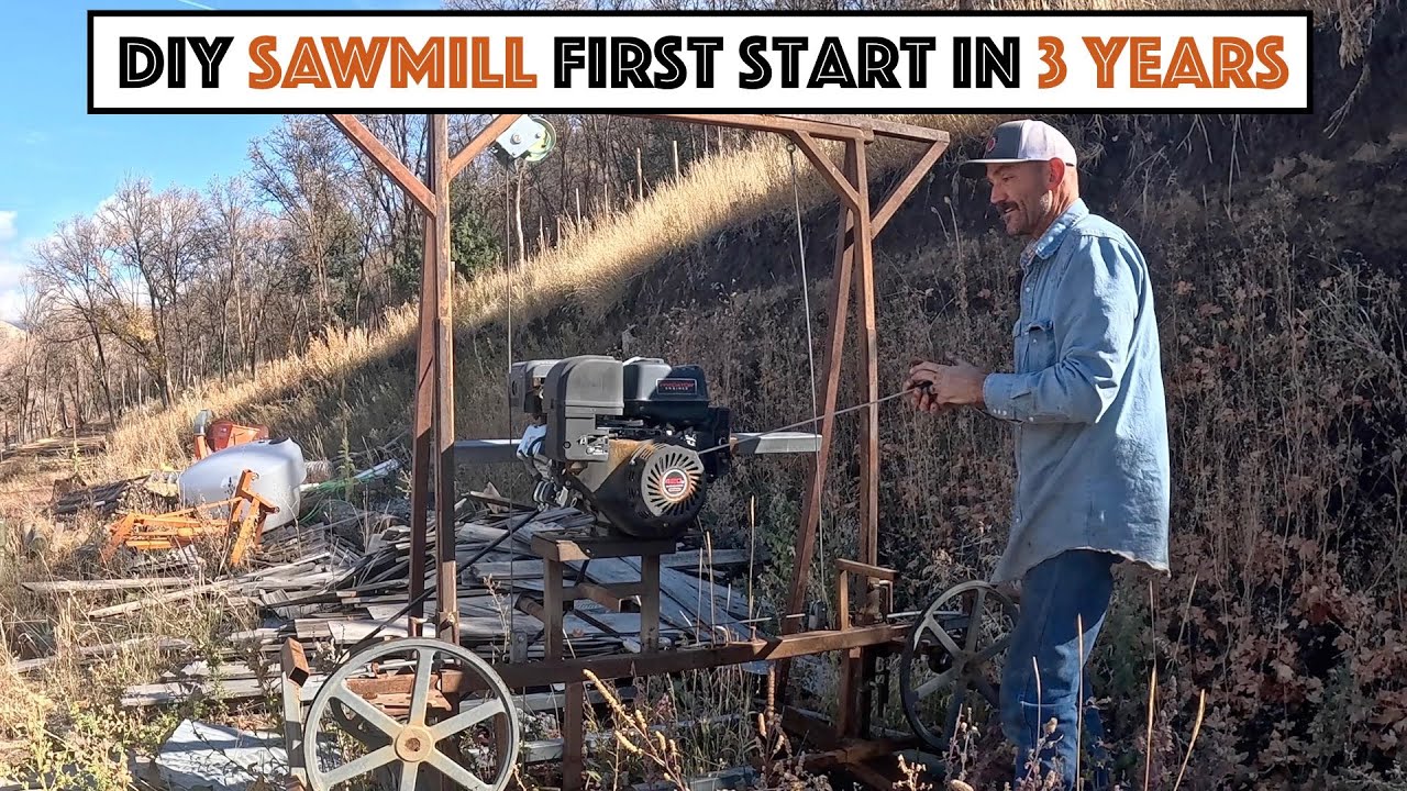 #759 - Our Fallow Deer Buck Is In Rut! (Volume Up) Started DIY Sawmill ...