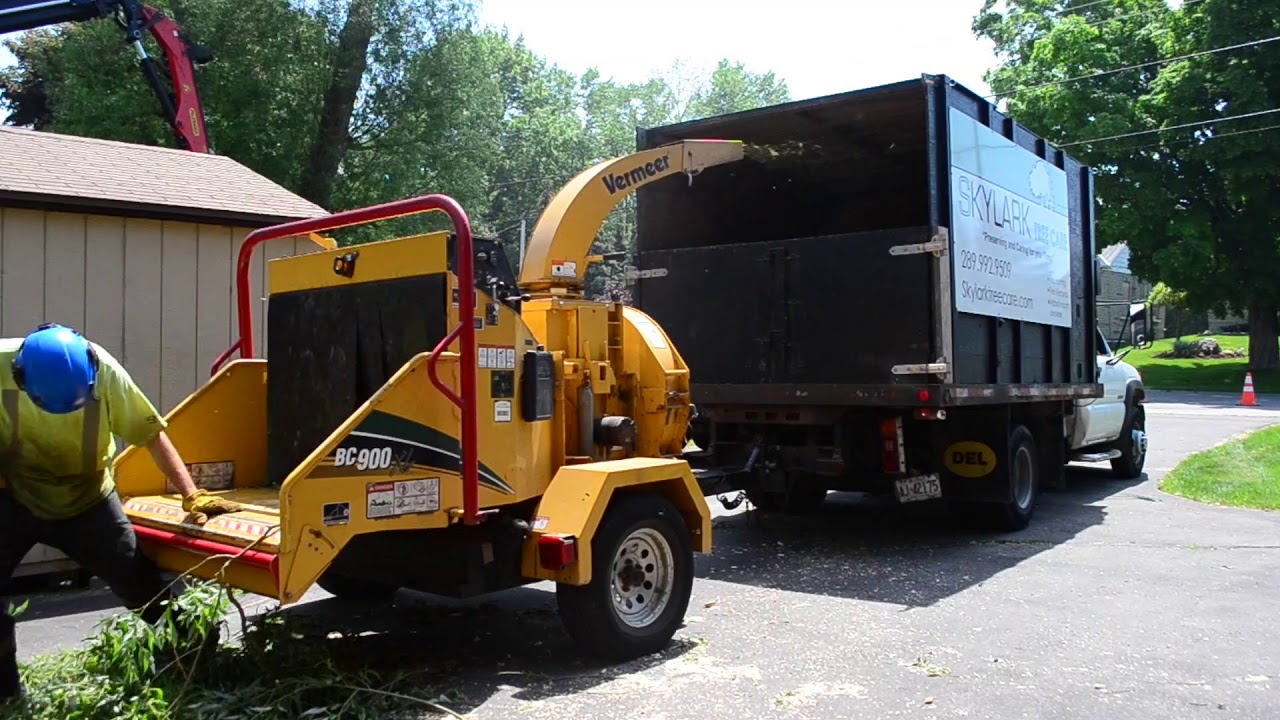 STC Black Willow x2 with Tree Mek - YouTube