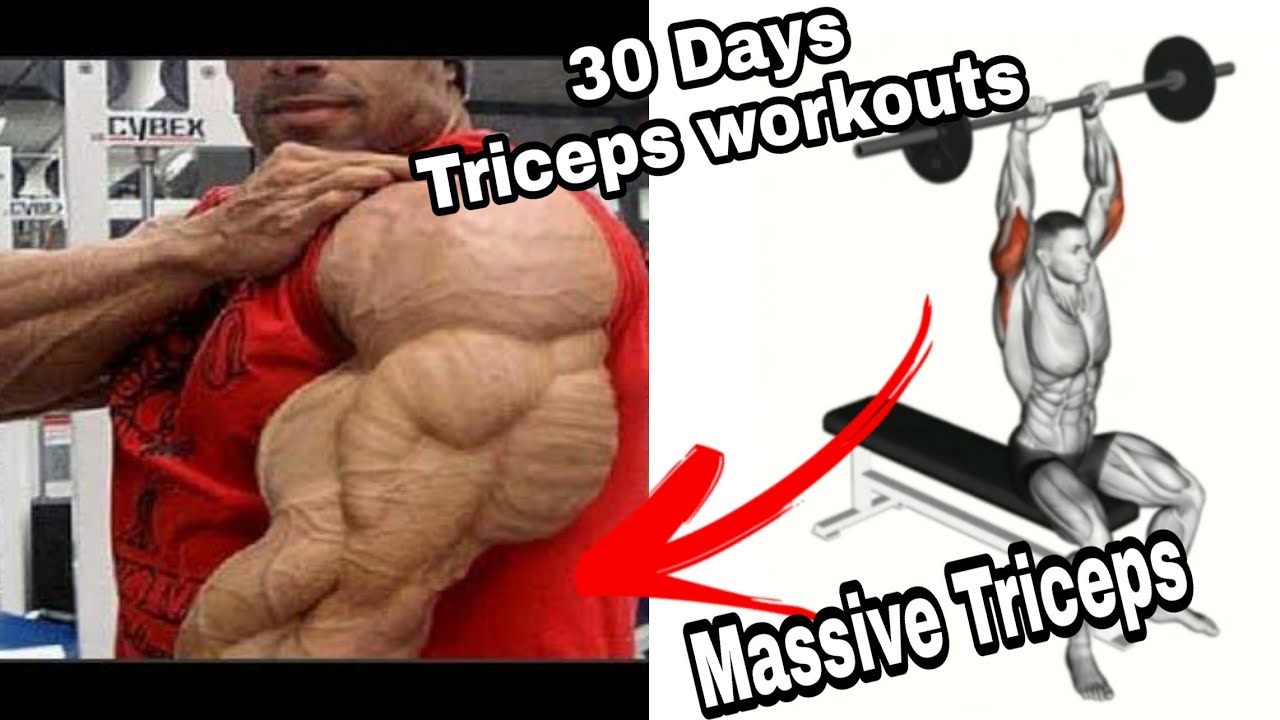 Build Your Triceps In 30 Days Fast (Daily Routine) - YouTube