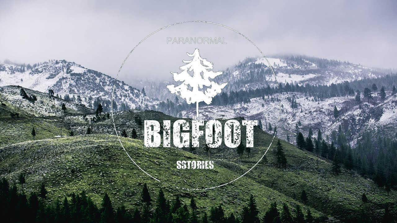 Clients Abandon Guide Leaving Him Stranded With BIGFOOT After Creating ...