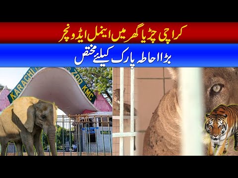Animal Adventure at Karachi Zoo 🐅 | Explore the Wild Side!