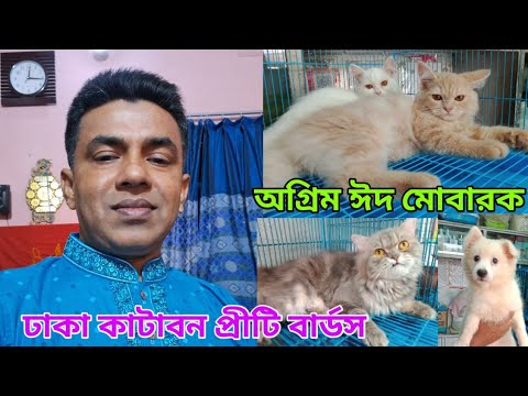 Katabon animal market in Bangladesh 🐕Dhaka University market Katabon ...