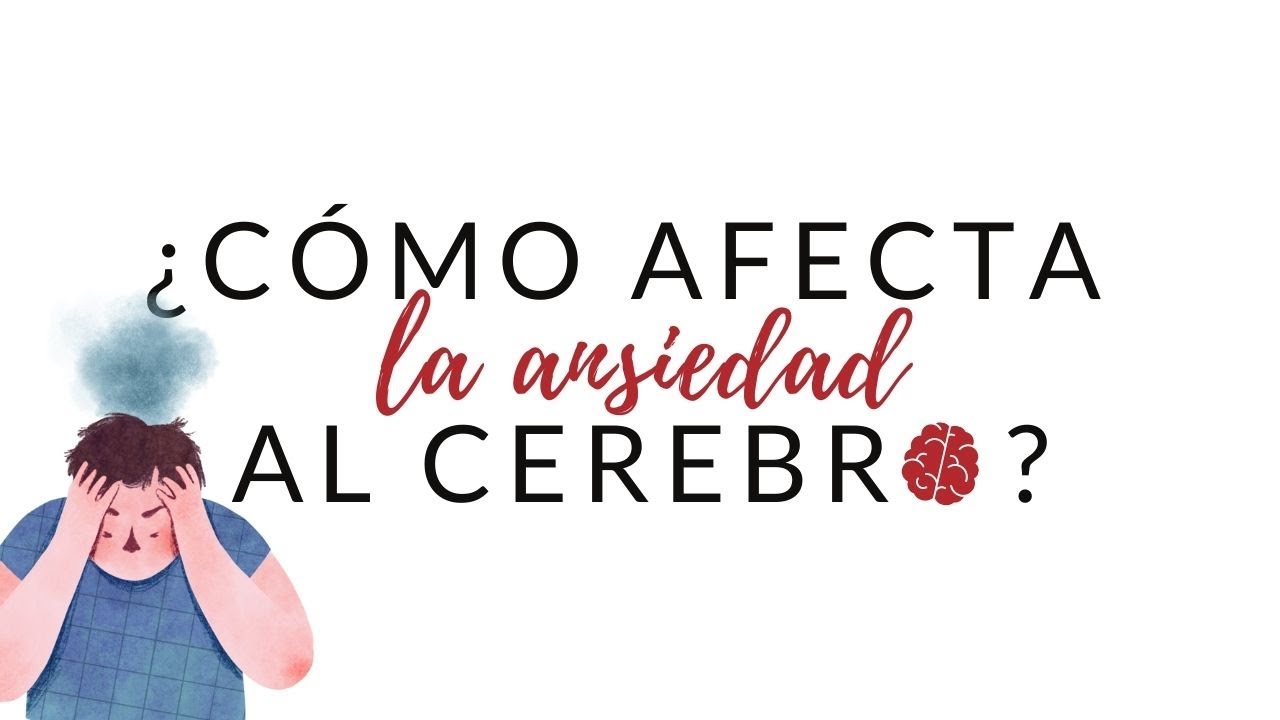 ¿Cómo afecta la ANSIEDAD al cerebro? - YouTube