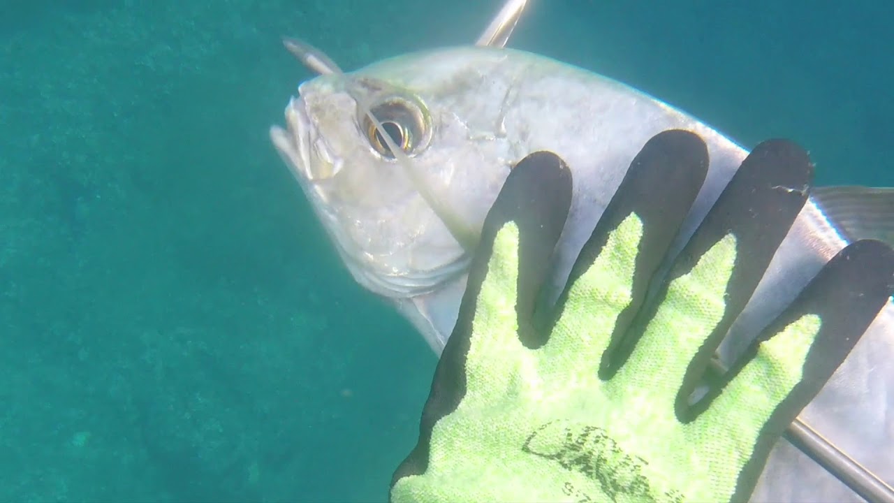 Guam spearfishing 2018 - YouTube