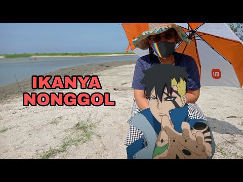 MANCING AMBYAR ~  MANCING CANTIK ~ FISHING MANIA  ~ LADY FISHING - IKANNYA PADA NONGGOL