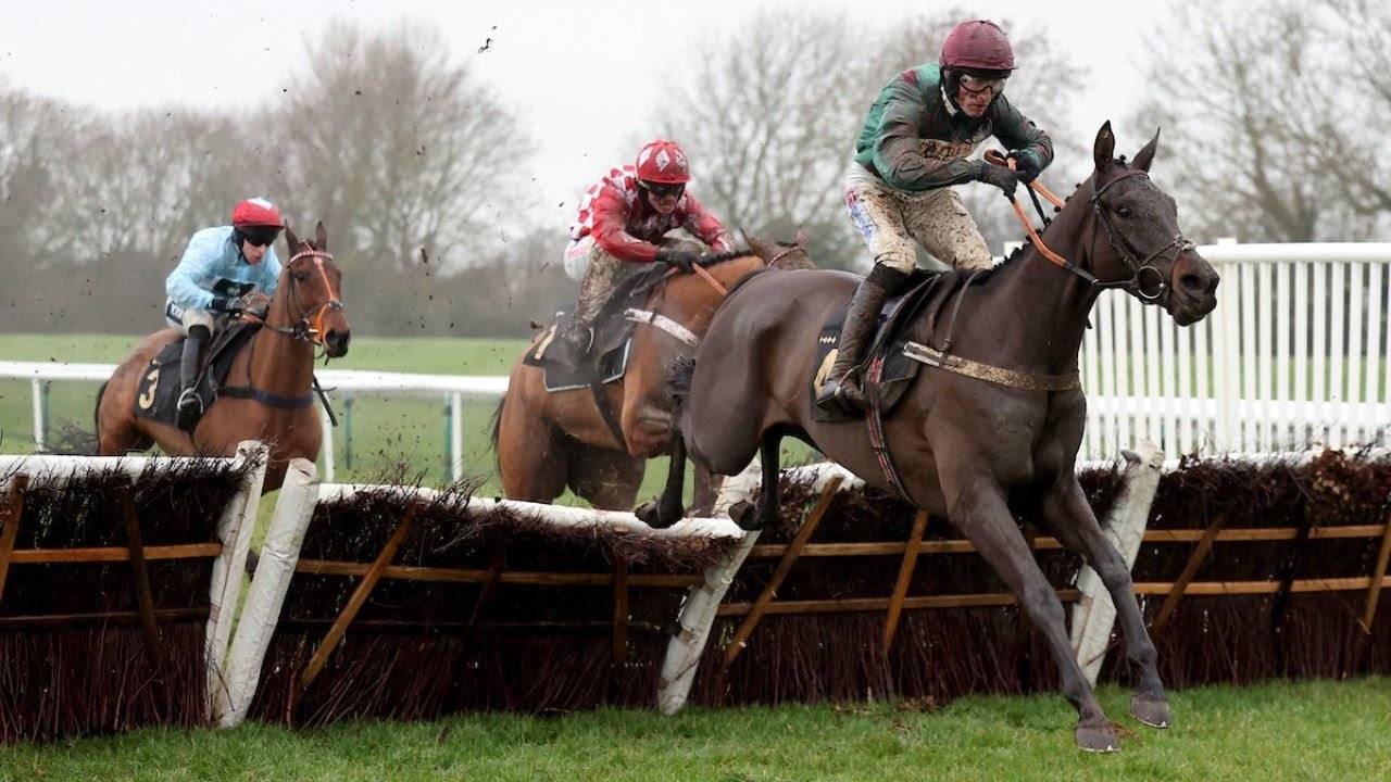 HANDSTANDS impresses in Sidney Banks to set up Baring Bingham tilt ...
