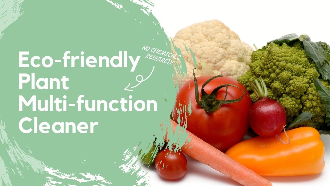 DEMO | Multi-Function Veggie Wash For Fruits, Vegetables Even Meat and ...