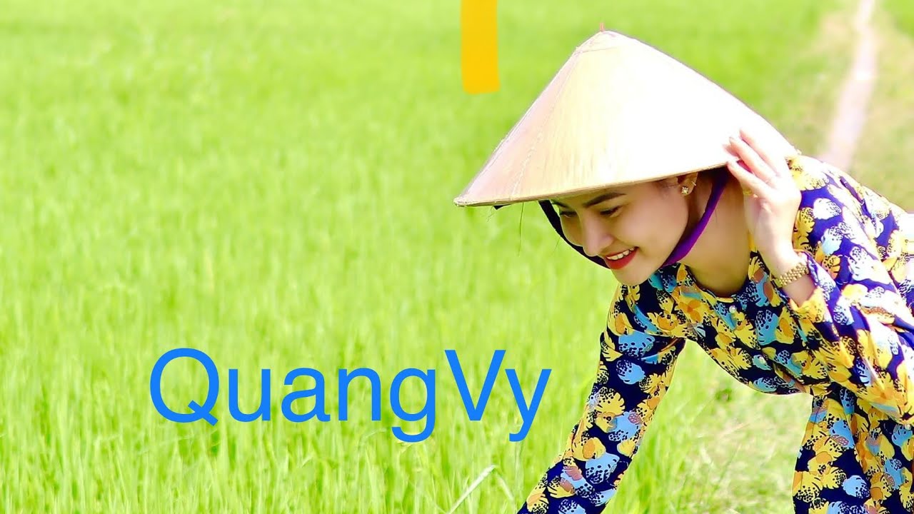 Nhạc Miền Quê Thư Giãn Buổi Sáng, Phong Cảnh Đồng Lúa Qua Góc Nhìn ...