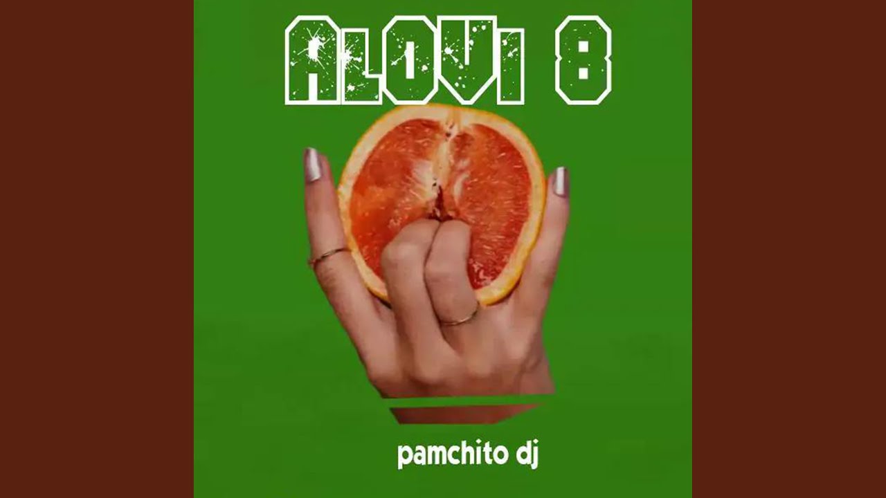 Alovi 8 - Pamchito Dj - YouTube