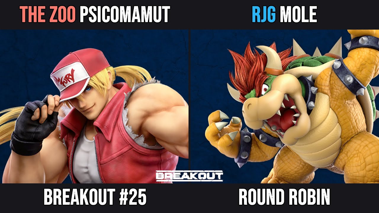 Breakout #25 Round Robin - Mole (Bowser) vs Psicomamut (Terry) - YouTube