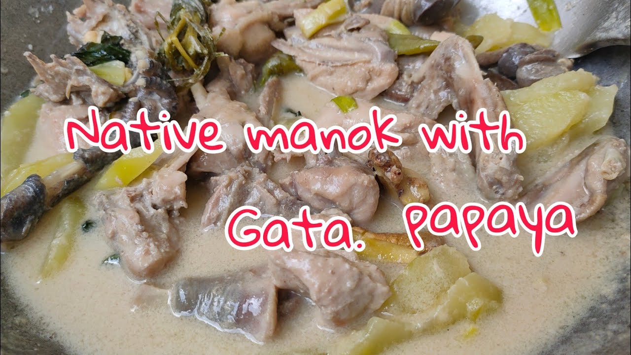 NATIVE MANOK with GATA, GINATAAN CHICKEN NA BISAYA - YouTube