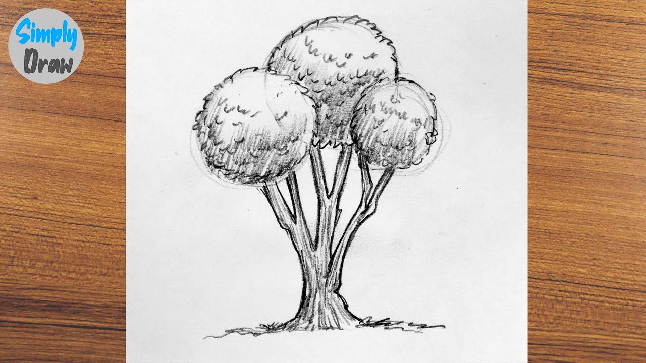 How to draw a tree step by step Easy || tree drawing easy - YouTube