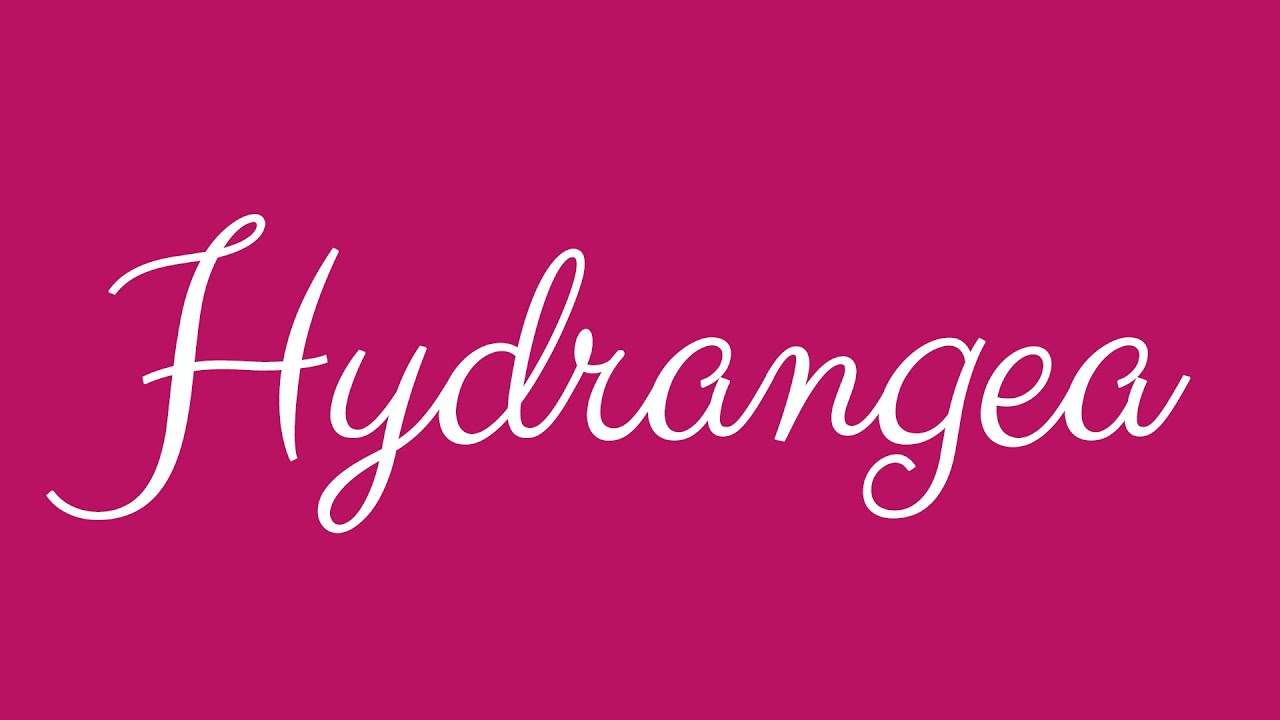 Learn how to Sign the Name Hydrangea Stylishly in Cursive Writing - YouTube