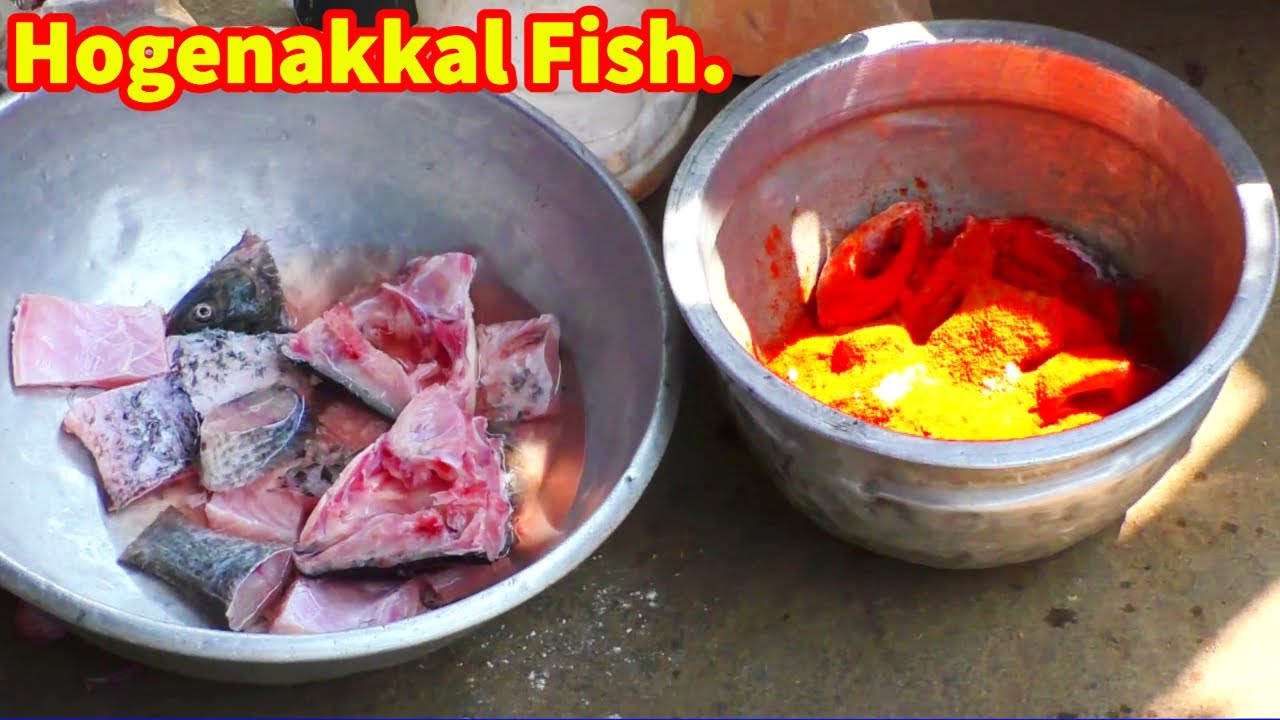 Hogenakkal| Fish| Fish Cooking| Tourist Place. - YouTube