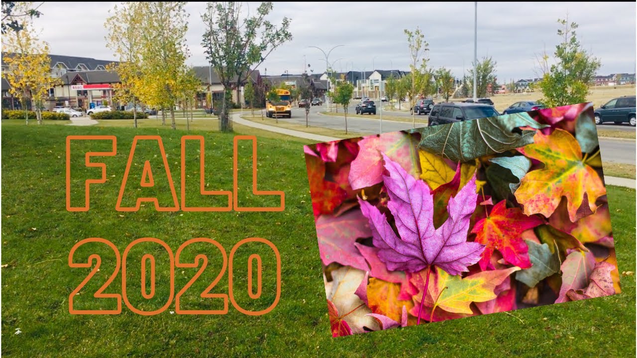 Fall Vlog | shortest Autumn season in Alberta | What happens while ...
