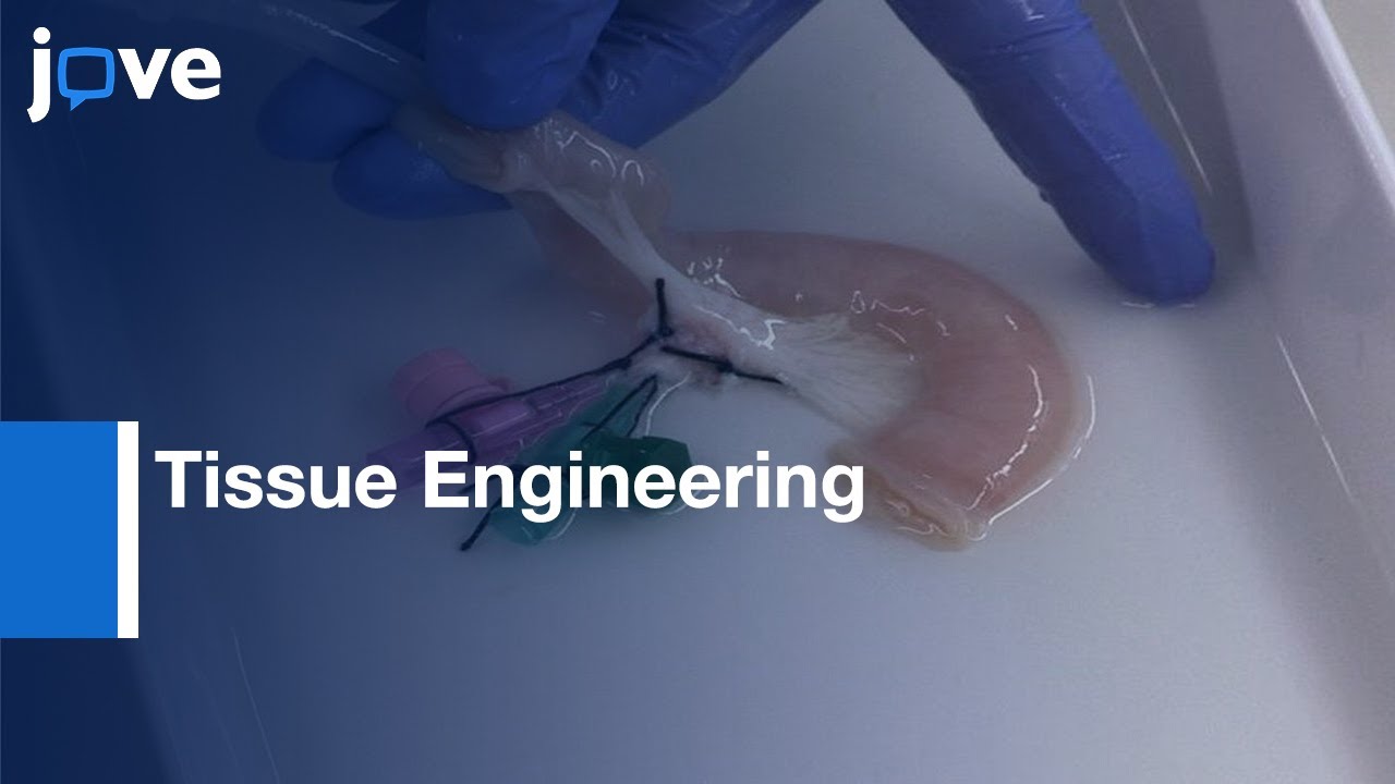 Tissue Engineering-Human 3D Tumor Test System l Protocol Preview - YouTube