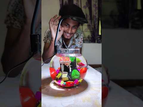 कैसा है👆 Aquarium Fish Bowl Setup 🤯😱#shorts #fish #viralvideo #trending #aquarium