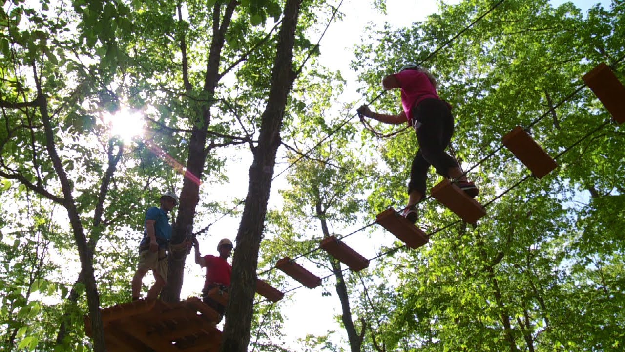 Tree Top Trekking - YouTube