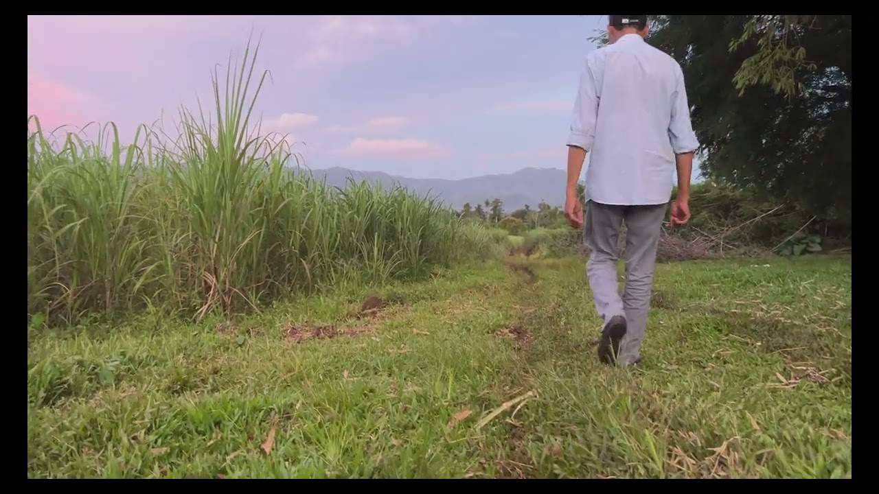 CAMACOP Journeys | Trailer - YouTube