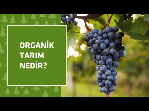 Organik Tarım Nedir?