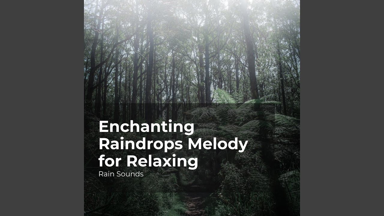 Rhythmic Flow of Rain - YouTube