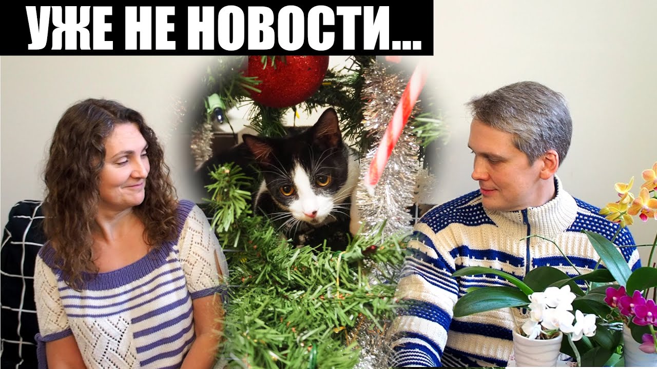 Уже не новости. 29 января, 2023. Meanwhile in Canada. - YouTube