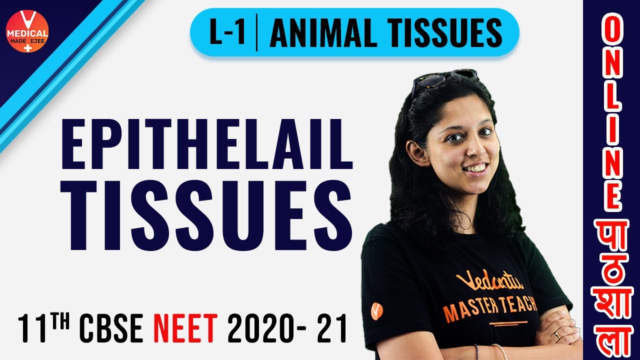 Neet Biology | Animal Tissues - 1 | Epithelial Tissues | Vedantu Master ...