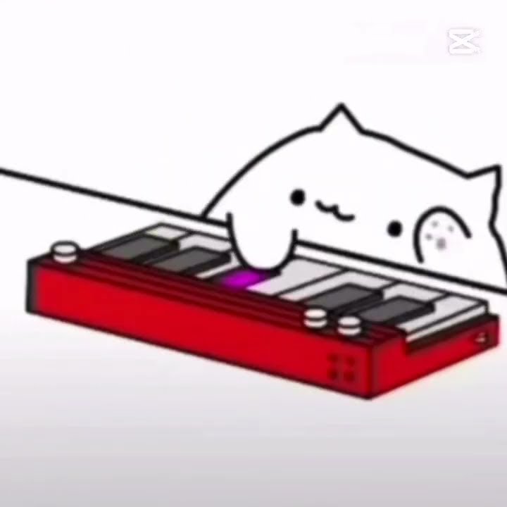 Cat beat - YouTube