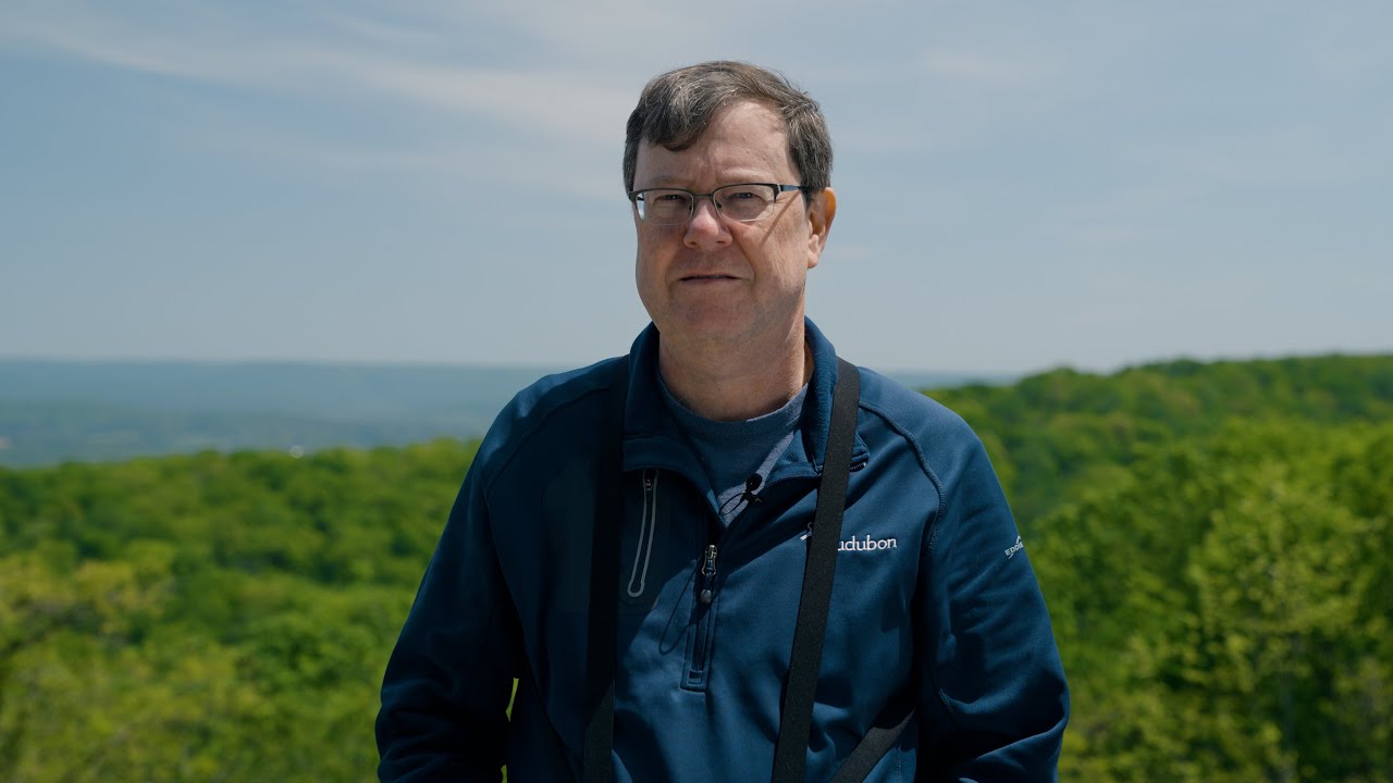 Bird Tales - Joe Watts - YouTube