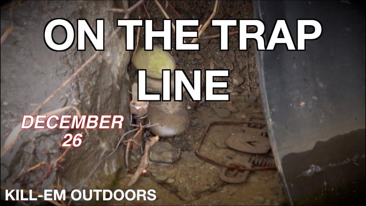 Slow Day On The Trap Line - YouTube