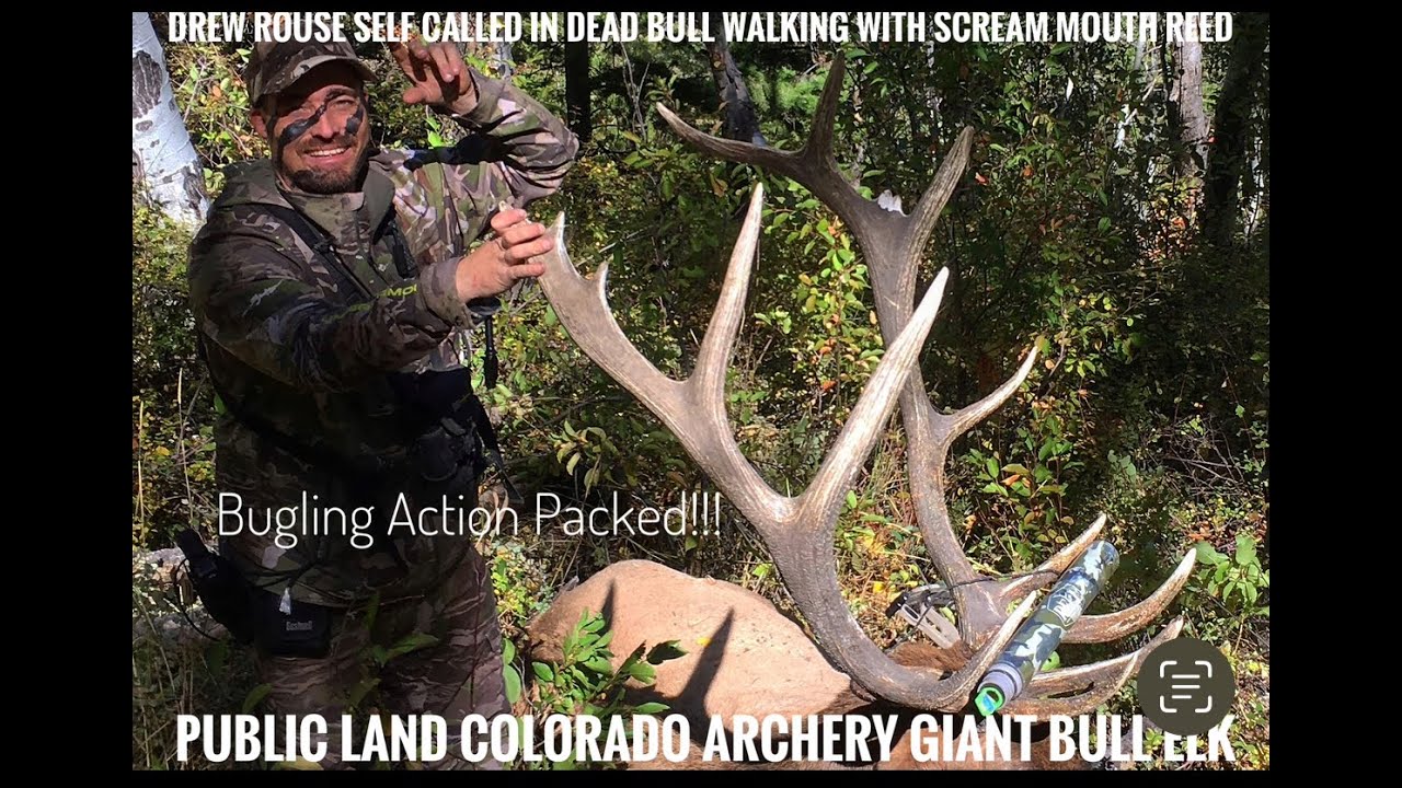 Drew Rouse Public Land Giant 8x7 Colorado Archery Bull Elk Solo call in ...