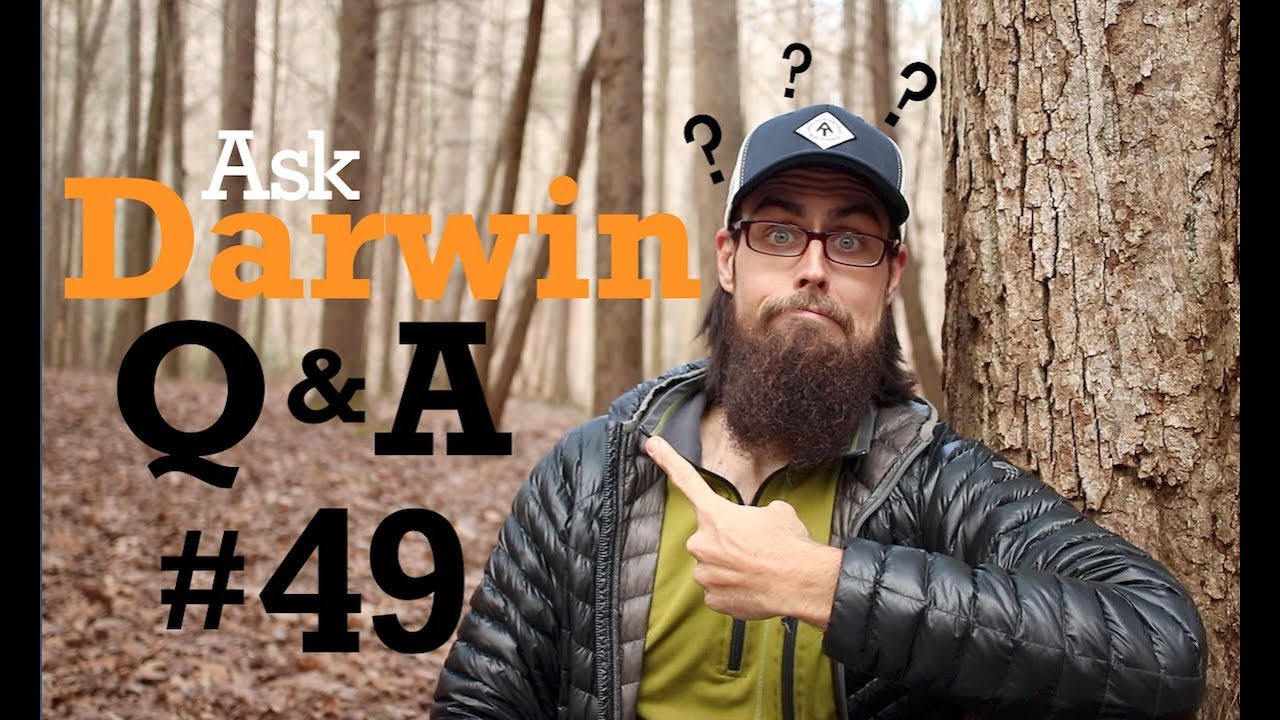 Ask Darwin Q&A #49 (Answers) - YouTube