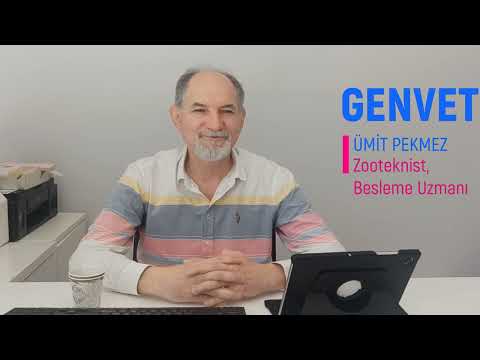 Güvercin Hastalıkları, Sebepler, Önlemler ve Çözümler