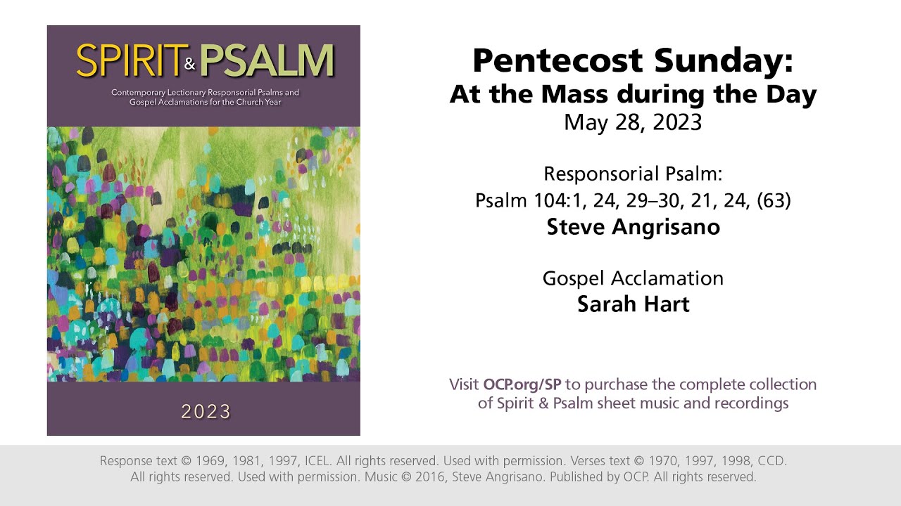 Pentecost Sunday At The Mass During The Day May 28 Steve Angrisano