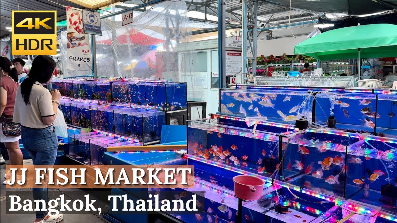 [BANGKOK] Chatuchak Fish Market "Largest Fish Market In Bangkok ...