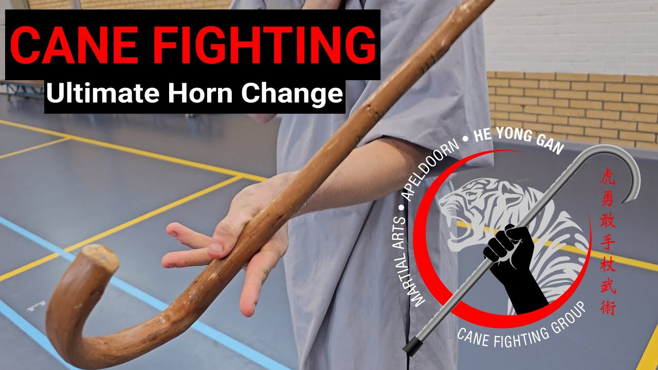 Cane Fighting, Sutekki Jutsu: Ultimate Horn Change - Martial Arts - YouTube