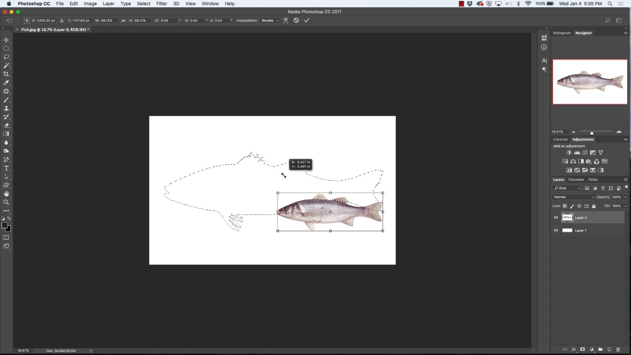 Fitur Keren Dan Menarik Adobe Photoshop CC 2018