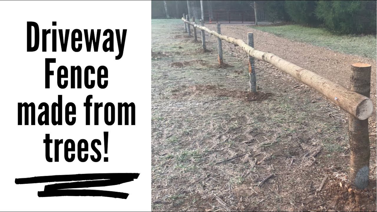 $15 DIY Tree Fence - YouTube