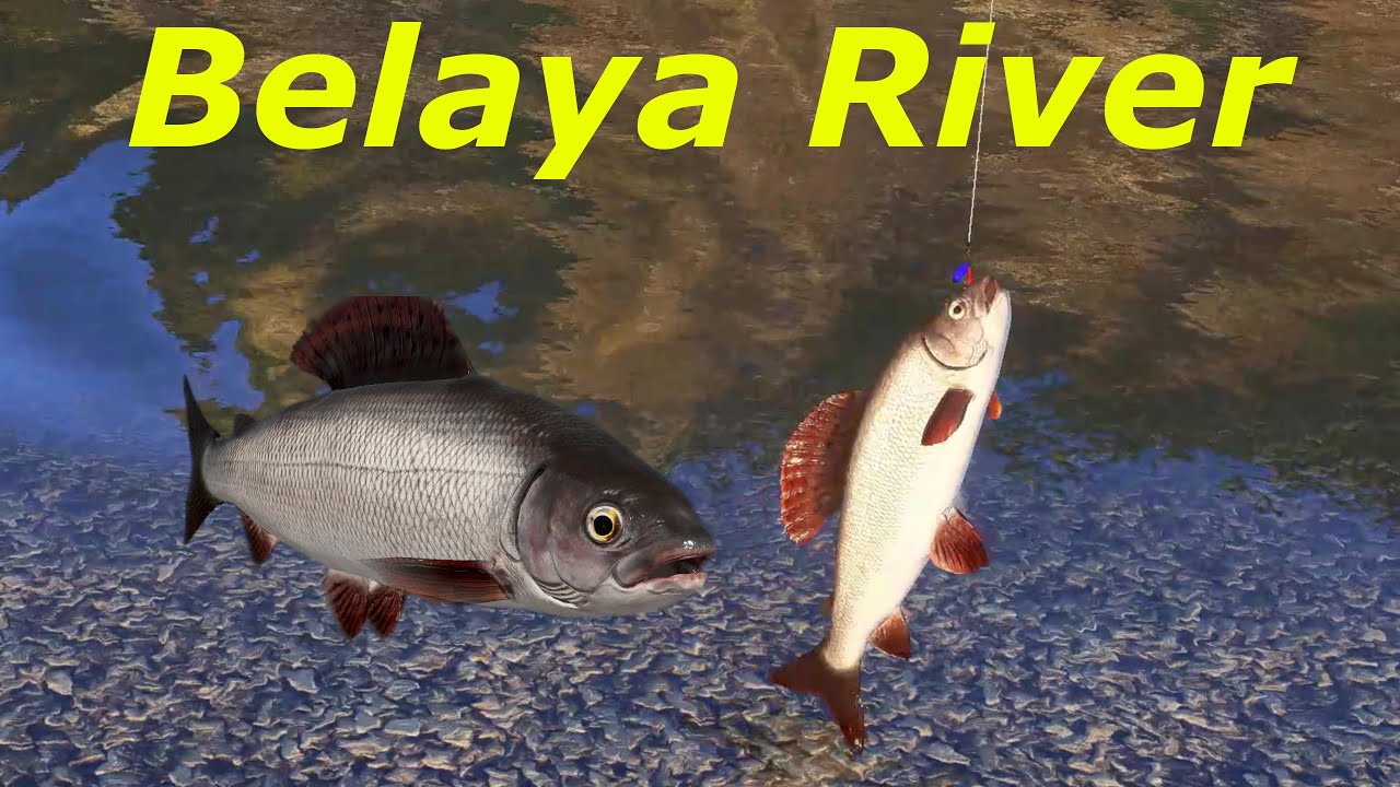Russian Fishing 4 Belaya River Grayling RF4 SPOT #77 - YouTube