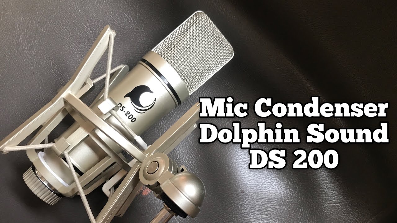 Review Mic Condenser Dolphin Sound DS 200 - YouTube
