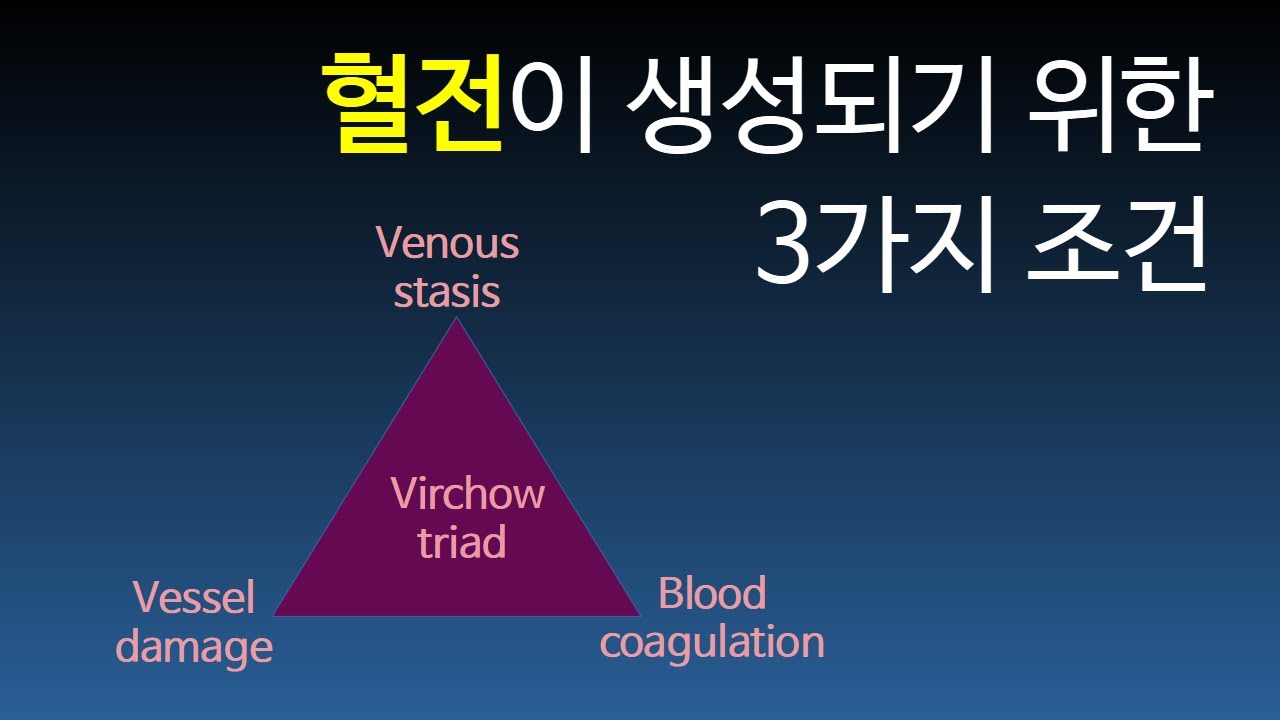 THROMBUS-02 혈전이 생성되기 위한 3가지 조건 - Virchow's triad - YouTube