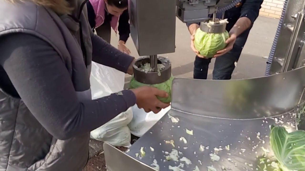 Cabbage shredding and coring machine - YouTube