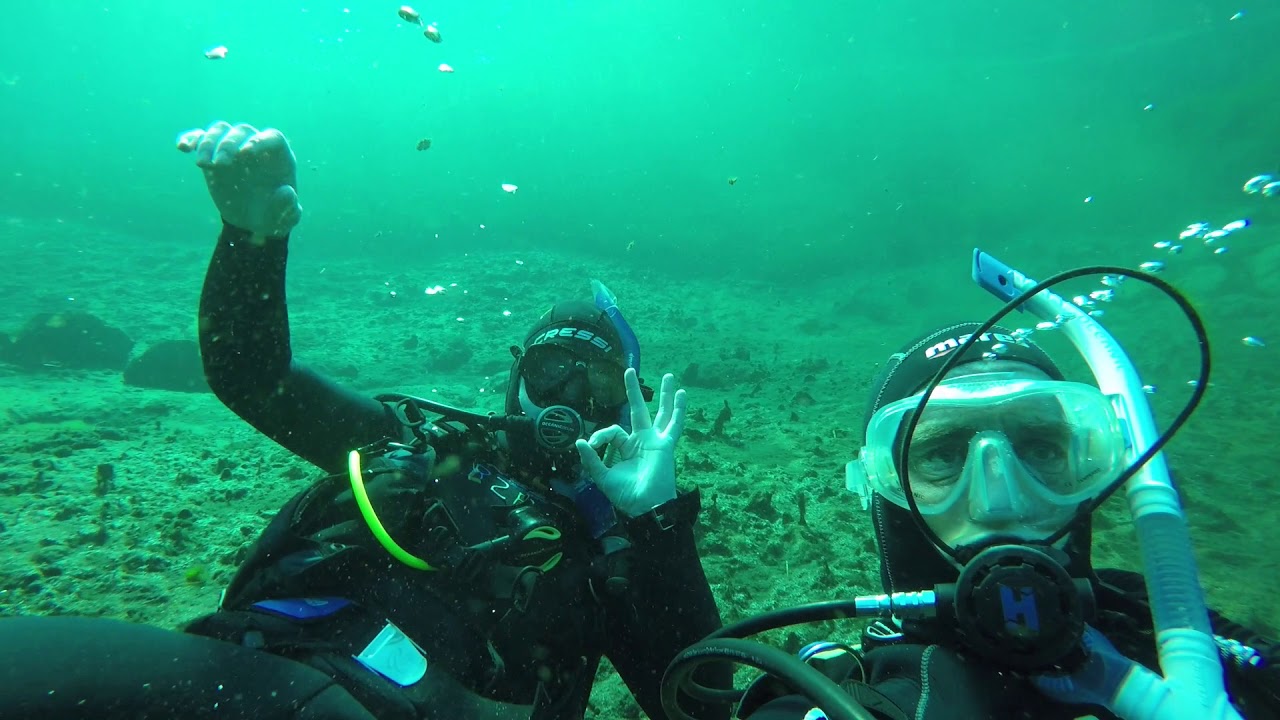 Ewens Ponds Dive - YouTube