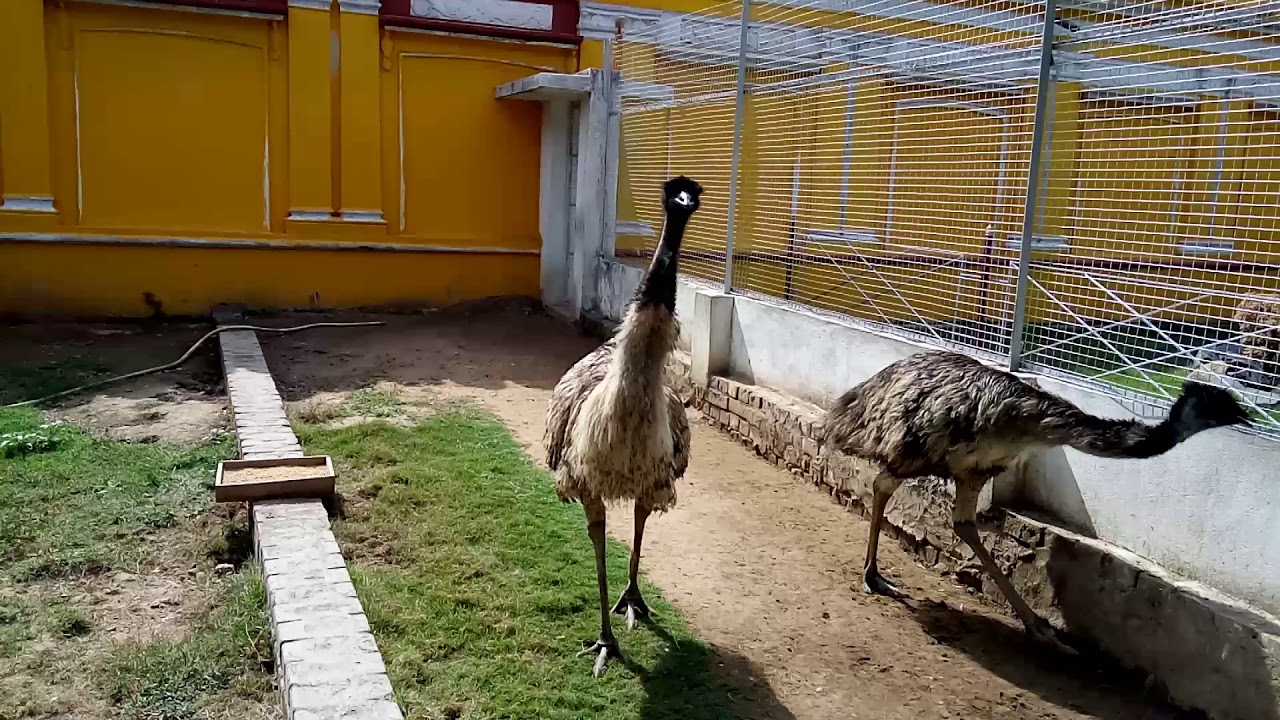 Murshidabad Kathgola Bagan Bari | Murshidabad tourism | Weekend Tour ...