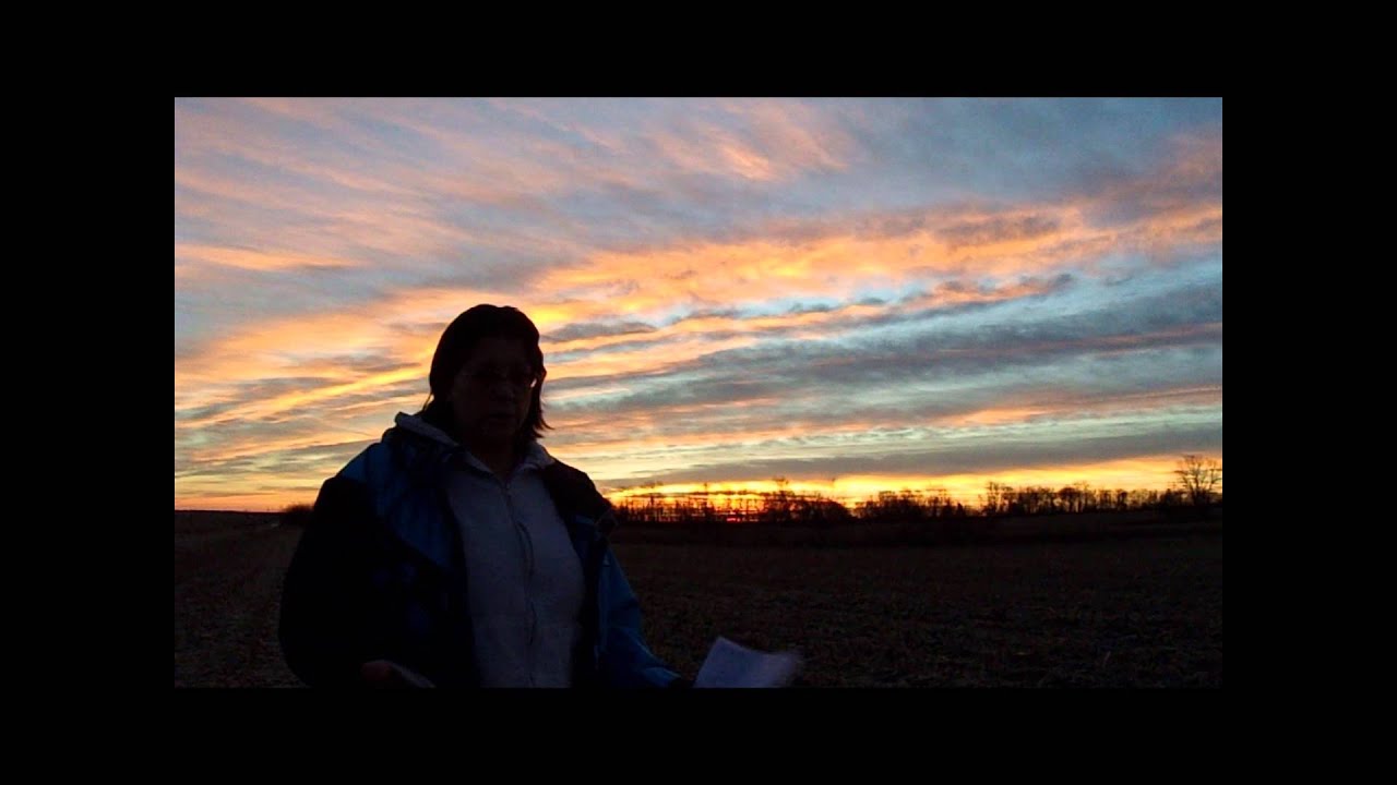 Alchemy's Elixir of Life: The Search for Immortality - YouTube