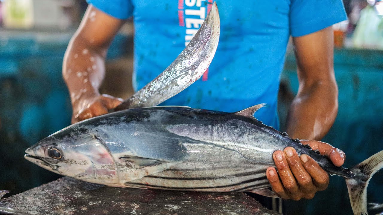 The sharpest tuna machete in the world ! Tuna Cutting Master Skills ...