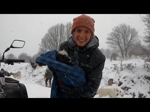 ÇETİN KARDA YENİ DOĞUM..(BÖYLE KAR DAHA ÖNCE GÖRMEDİMM)..