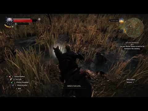 The Witcher 3 - Water Hag Enjoying a Refreshing Mudbath - YouTube